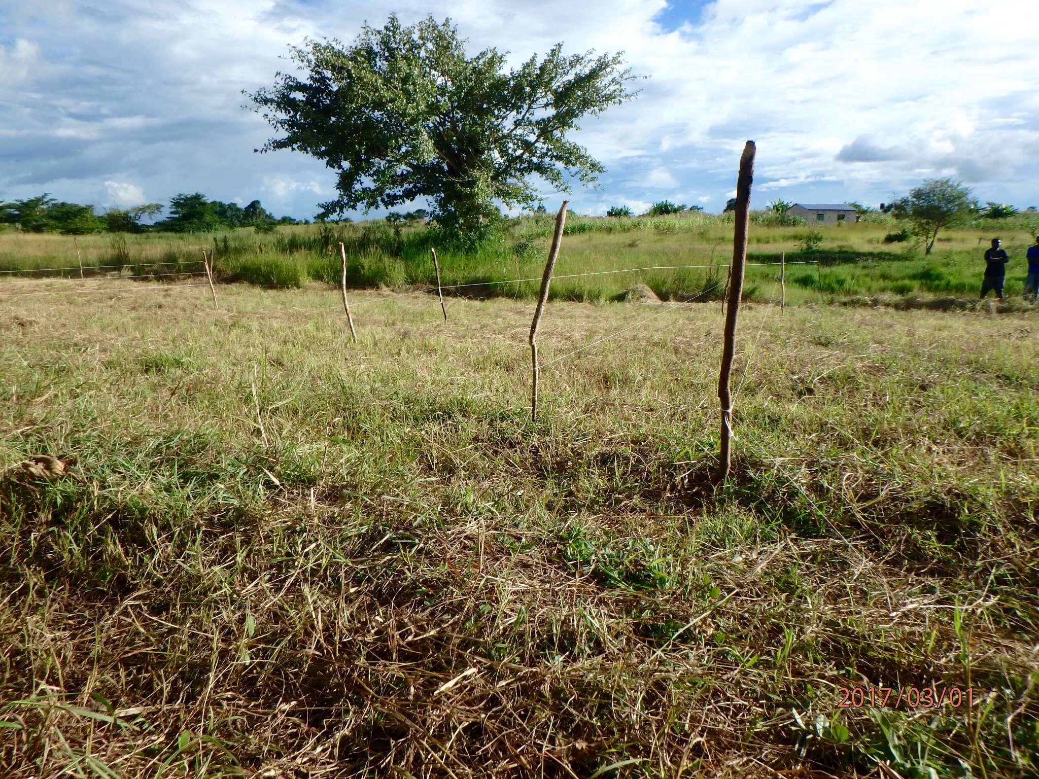 Site Visit | Sambia In Zambia